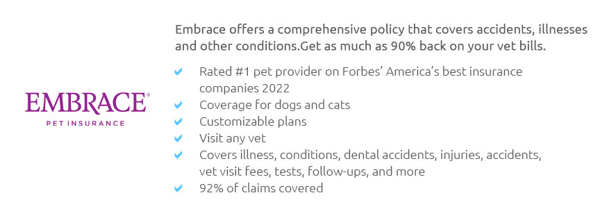 Cat Insurance Coverage 🐶 Nov 2025