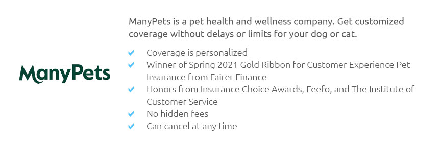 Cat Insurance Coverage 🐶 Nov 2025